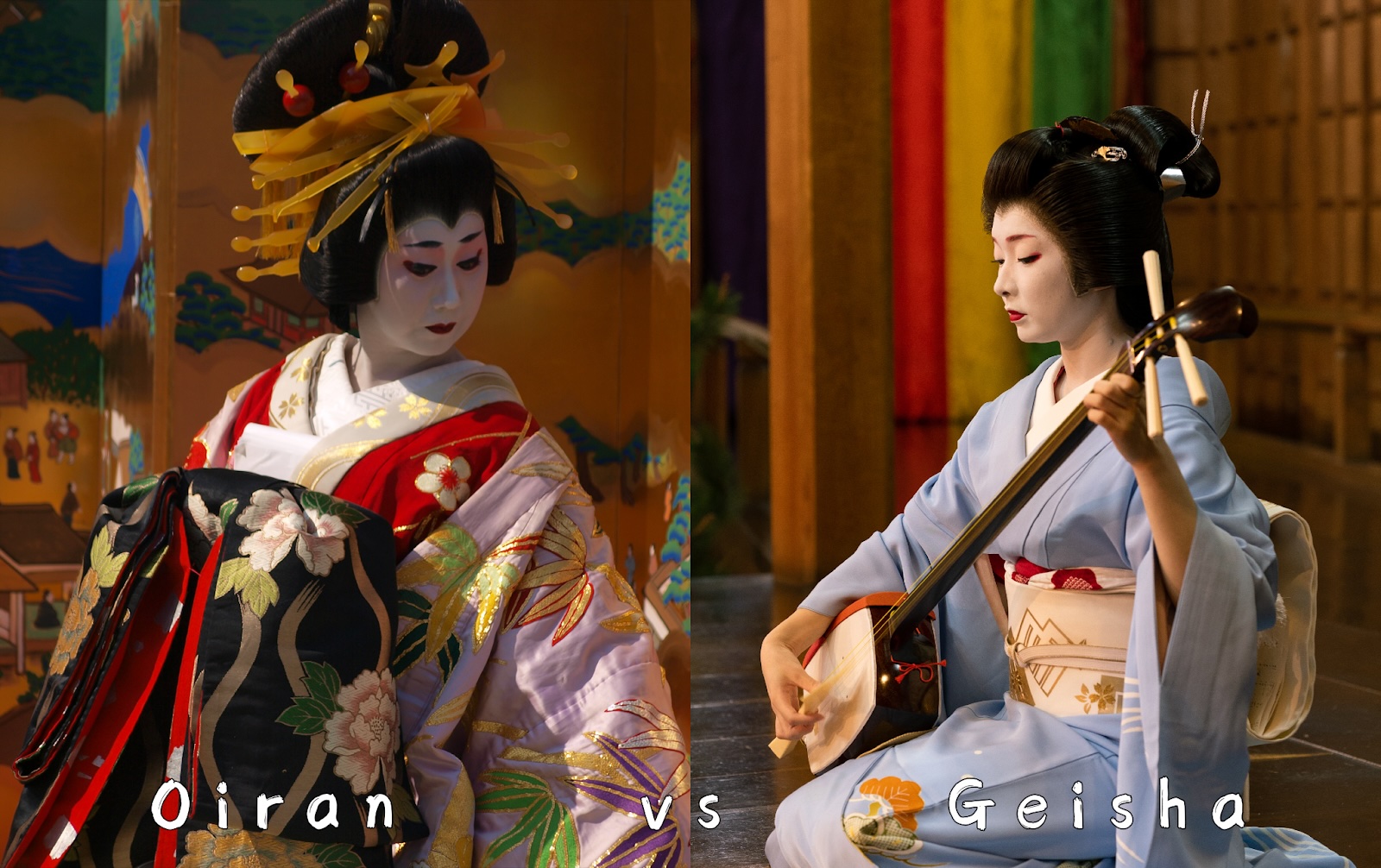 Unraveling the Mystery: Oiran vs. Geisha – A Comprehensive Guide to ...